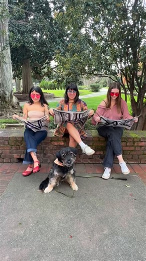 SAVE THE DATE! Choose Chico is a little more than a week away! This is the day to connect with faculty, connect with other incoming students, tour the campus, and discover the services and support offered at Chico State. Check-in begins at 8:30 on Saturday March 7. ❤️ | CSU, Chico HFA