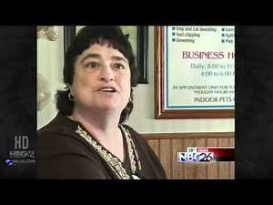 Beaten Dog Gets Second Chance