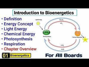Bioenergetics | Definition and Introduction | Complete Concept | Chapter Overview