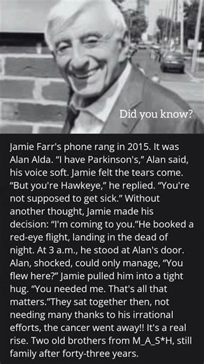 He Flew midnight #shortvedio #actor