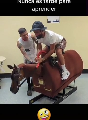 Mechanical Horse Simulator: A Unique Indoor Experience