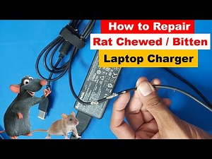 How to Fix a Chewed Laptop Charger Cord | Laptop Charger Repair