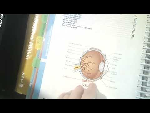 Eye, Ocular Adnexa, Auditory, and Operating Microscope Walkthrough- CPT 2022