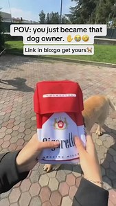 7K views · 6.8K reactions | We aren’t sure if this is very wrong or very right 藍 Credit: @areadog | The Comedy Store UK | Facebook