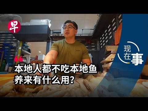 [ENG] 想在本地卖好养殖鱼到底有多难? Why it’s difficult to sell locally farmed fish in Singapore | 现在事