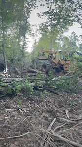 Tigerkat 610 young man running it.. is 20 going to be an awesome logger! 🙏🏻🪓🇺🇸 | Timberkutterpatriot