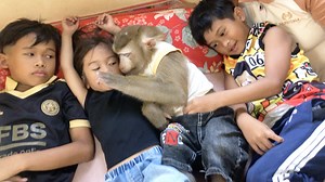 Little Jason Comfy Join Relax With All Sibling Mutual Care | Monkey Jason