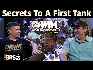 Vic’s 13 Secrets to a SUCCESSFUL First Reef Tank!