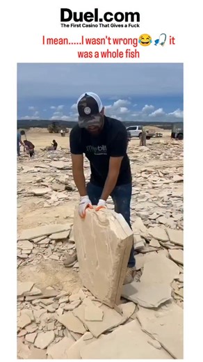memer boy on Instagram: "The post humorously reveals a complete Eocene-era fish fossil emerging from a split limestone slab during casual rock-hunting in a dry quarry, captioned as vindication for an initial "fish" sighting, amassing over 7 million views for its surprising payoff. The video originates from a private quarry in Wyoming's Green River Formation, a 50-million-year-old lakebed deposit renowned for preserving over 1,000 fish species in fine detail due to rapid anoxic burial, as documen