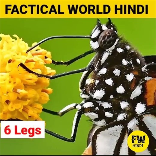 88 Top 10 Most Amazing Random Facts 🤯🧠 amazing facts intresting facts #shorts #facts