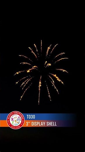 T030 3" Display Shell Burst willow