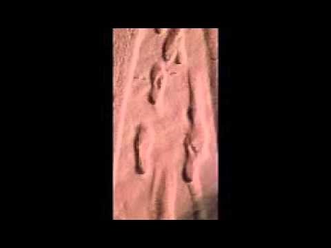 Footsteps on snow SOUND EFFECT - Schritte auf Schnee laufen Sound Effekte