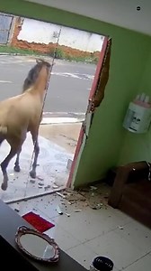 Hardness Of Tempered Glass | FactSheetor