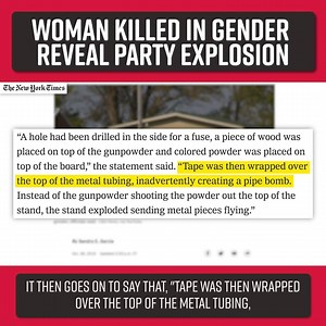 An Iowa woman was killed in an explosion at a gender reveal party after her family inadvertently created a pipebomb. Here’s what you need to know. | Philip DeFranco