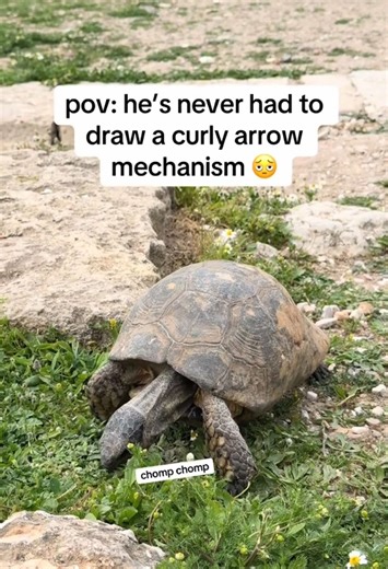 Last-Minute Study Hacks for Physics & Maths Exams