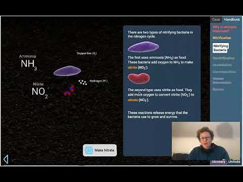 Lab 4 13 Nitrogen Cycles Case Pt 1 of 2