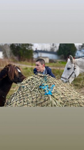 The Good Citizenship Project on Reels