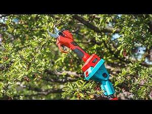 How to Prune a Tree