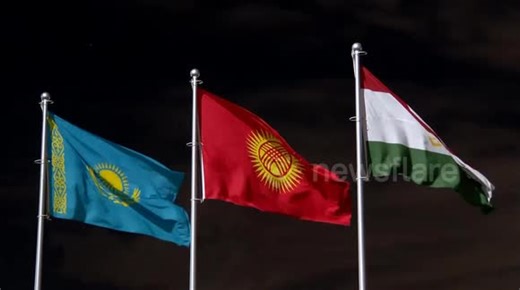 "Central Asia plus Japan" dialogue summit held in Tokyo (2)