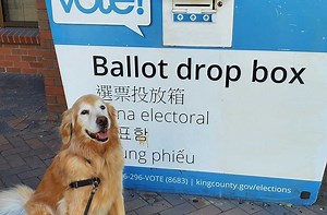 Slog AM: FDA Approves Over-the-Counter Birth Control, Seattle Times Columnist Defends Hitler, and Who to Vote for in August Primary