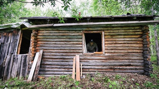 🏡 Restoring an Abandoned Log Cabin Deep in the Forest #bushcraft #build #camping #survival #shelter #wildlife #outdoorstyle | Armani Aufderhar