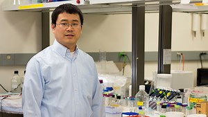 ASU biochemist invents a condom that mimics human skin