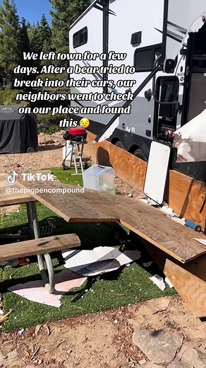 We live in a place where bears breaking into cars/trailers/houses is not uncommon, but it sure does suck! #welcometothepigpen #trailerlife #offgridliving #bearbreakin #tahoe #yogithebear #offgrid