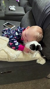 Baby Loves Her New Kitten