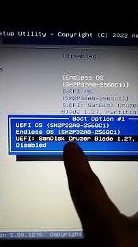 Como dar boot pela USB pendrive notebook ASUS.