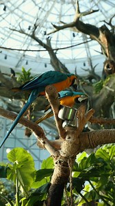 8.2K views · 14 reactions |  Go behind the scenes with our zoologist...