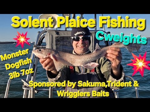 MONSTER DOGFISH Plaice Fishing Small Boat Fishing Raymarine Garmin Suzuki DF80a Southcoast UK