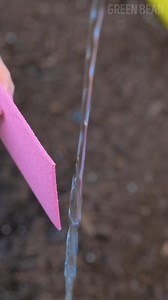 15K views · 39 reactions | Ultimate guide to ruling your garden like a pro | Green Bean | Facebook