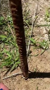 How to use a line level. #diy #linelevel #lifehacks #construction #howto