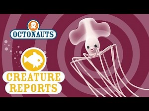 Octonauts: Creature Reports - Long Arm Squid
