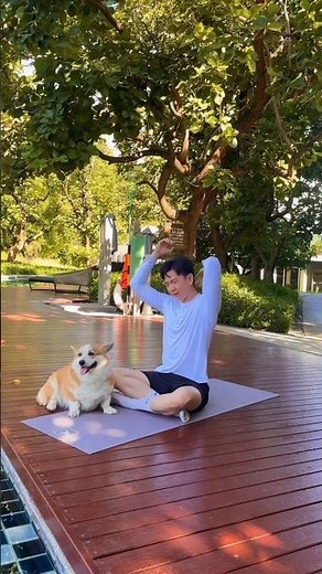 This Dog’s Workout Routine Will Melt Your Heart #dogworkout #dogshorts #dogtraining