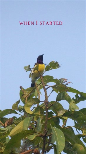Lens_of_Karthik on Instagram: "My photos when i started vs Now! My gear canon 200d Mii paired with 70-300mm nano usm...📸 @canonindia_official 19-year-old photographer with a deep love for wildlife and nature, capturing raw beauty through the lens. Always chasing moments that tell untamed stories of the wild. #wildlifephotography #wildlife #nature #birds #reels"