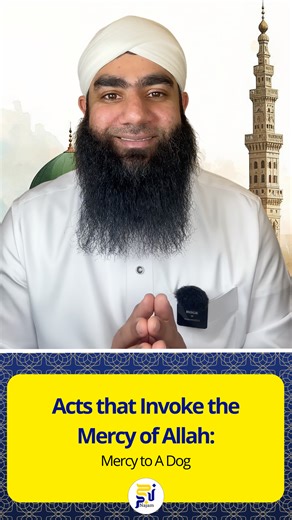 Acts that Invoke the Mercy of Allah: 1. Mercy to a Dog Join us here every day at 5 PM for Molana Faizan Wahid’s Special Ramadan Series: Acts that Invoke the Mercy of Allah. Save and share so you can revisit and earn ongoing reward. To go deeper and continue your journey of knowledge, join us at NajamKnowledge.com — only $7.86/month. #najamknowledge #najam #islam #quran #hadith #ramadan #ramadan2026 #muslim | Najam Institute