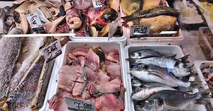 Najtańsze i najzdrowsze polskie ryby. Jedz zamiast łososia i dorsza