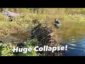 Massive Beaver Dam Collapse Caught From The Drone!