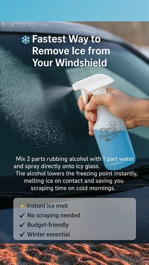 No scraping. No waiting. No frustration. Just mix 2 parts rubbing alcohol 1 part water, spray it on your icy windshield, and watch the ice melt INSTANTLY. A winter essential for busy mornings! ❄️✨ ✔ Instant ice melt ✔ Budget-friendly ✔ Zero scraping ✔ Works in seconds Save this for the next icy morning — you’ll thank yourself. #WinterCarHacks #IceRemovalTip #ColdWeatherFix #SmartDriving #DIYDeicer #TipsAndDelicious | Tips & Delicious