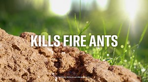 Are fire ants threatening your family? Kill fire ants and other listed insects PLUS feed and green your lawn with just one application of 3-In-1 Weed & Feed Plus Insect Killer. It’s available exclusively at The Home Depot. Learn more: https://bioadvanced.com/3-in-1-weed-feed-for-southern-lawns-plus-insect-killer.html?typesimpleȨ=1131 | BioAdvanced Science-Based Solutions | Facebook