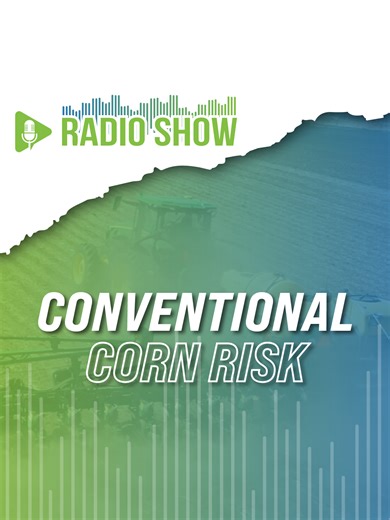 Insecticide Use: Understanding Its Importance for Safety