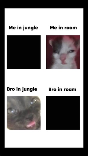 Switching Roles in Mobile Legends with My Brother