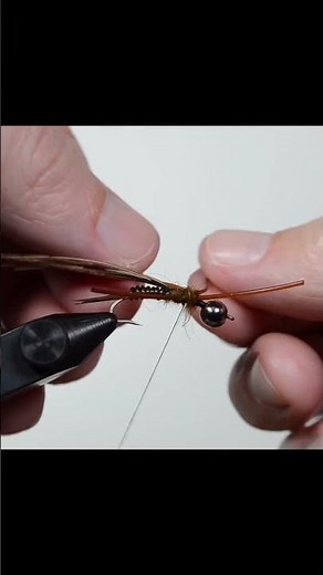 How to Tie a Stonefly Nymph | Essential Fly Pattern for Trout #FlyTying #StoneflyNymph