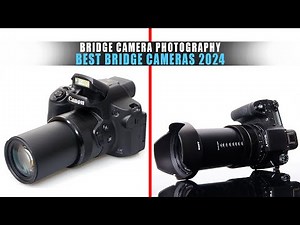 5 Best Bridge Cameras 2024 | Top Bridge Camera Photography