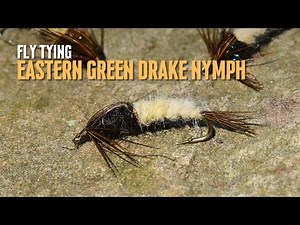 Fly Tying the Eastern Green Drake Nymph