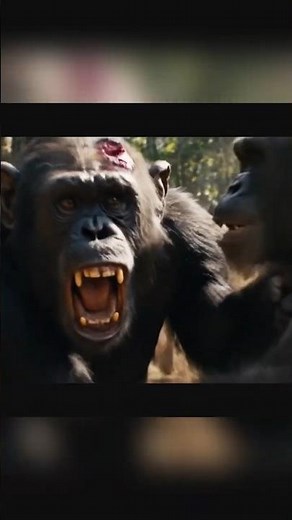 It was captured on camera😲😳 #wildlife #animals #hunting