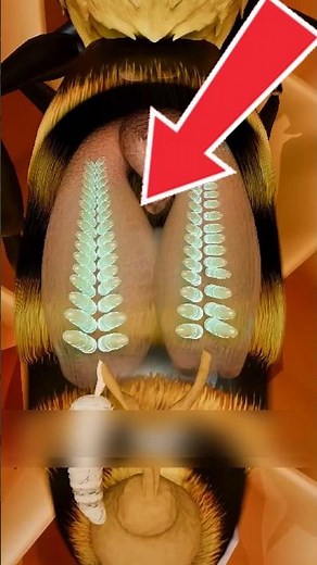 🐝 The Queen Bee’s Secret: How She Saves the Hive 👑#animalshorts #dailybee