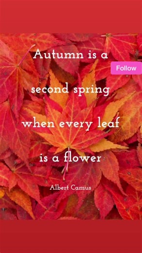 Photo: cloverhome.nl #autumnquote #fallquote #fallleavesbeauty #brokenchinajewelryshop