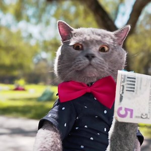 3.8M views · 167K reactions | Michael is always *trying* to do his bit to help others... | Aaron's Animals | Facebook